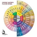 What is a coffee flavor wheel? - Coffee Mill